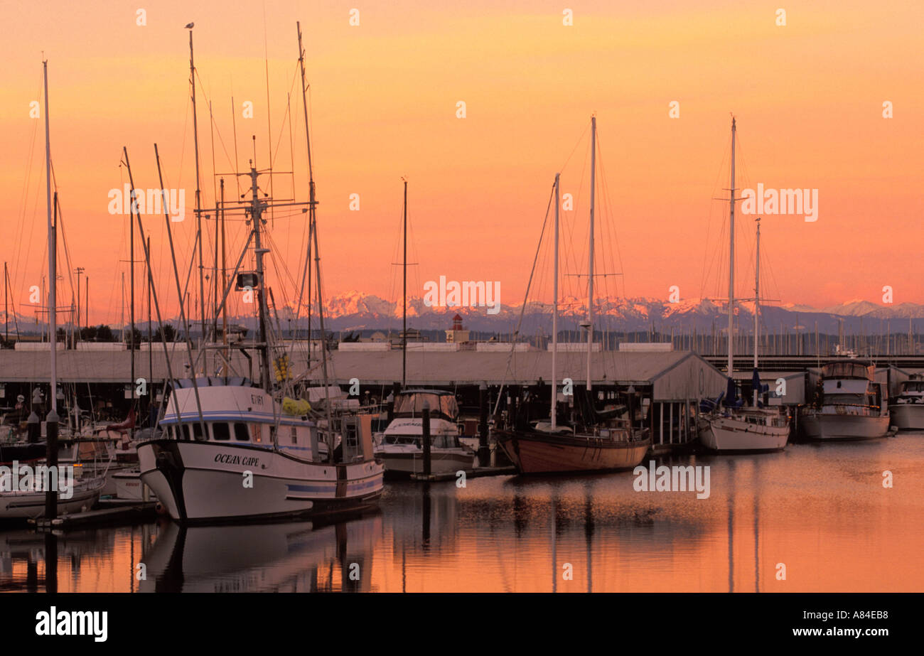 Everett Marina at sunrise with Olympic Mountains in background Everett ...