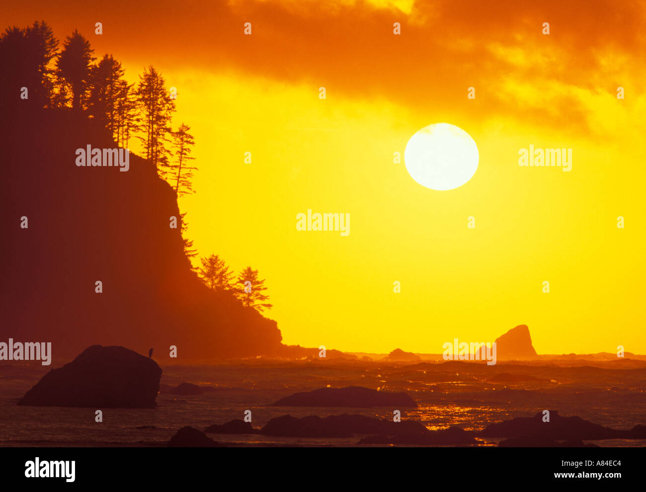Cape alava, olympic national park hi-res stock photography and images ...