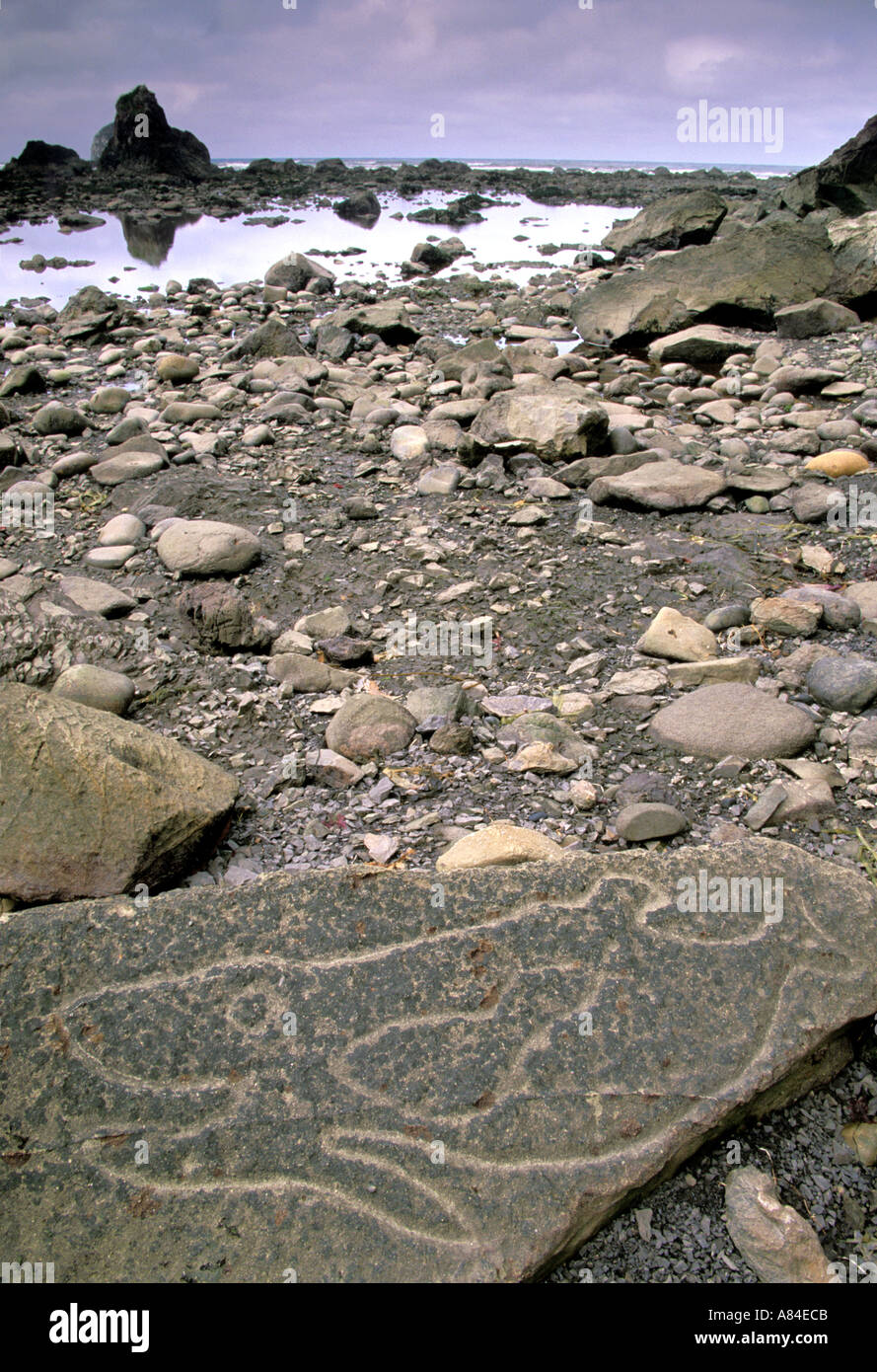Petroglyphs at Wedding Rocks Pacific Ocean Olympic National Park ...