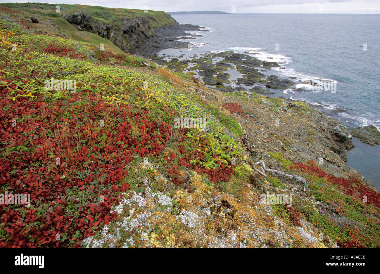 Rugged Cape Onion shoreline Cape Onion Newfoundland Canada Stock Photo ...