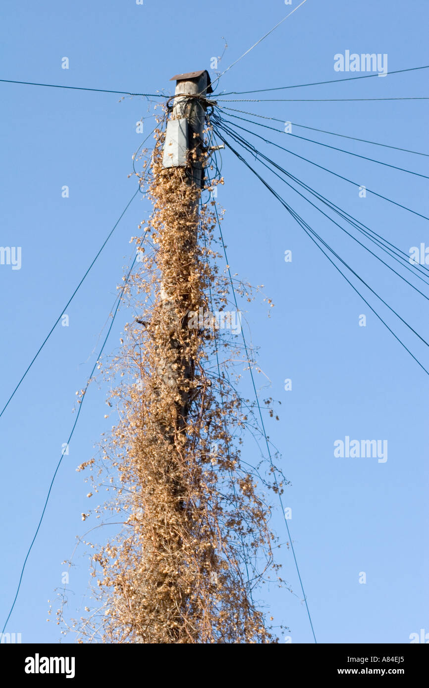 Electricity Street Pole Stock Photo - Alamy