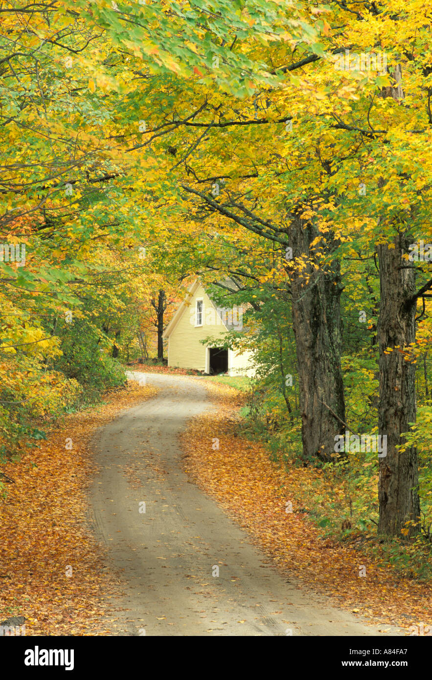 Fall house at end of road hi-res stock photography and images - Alamy