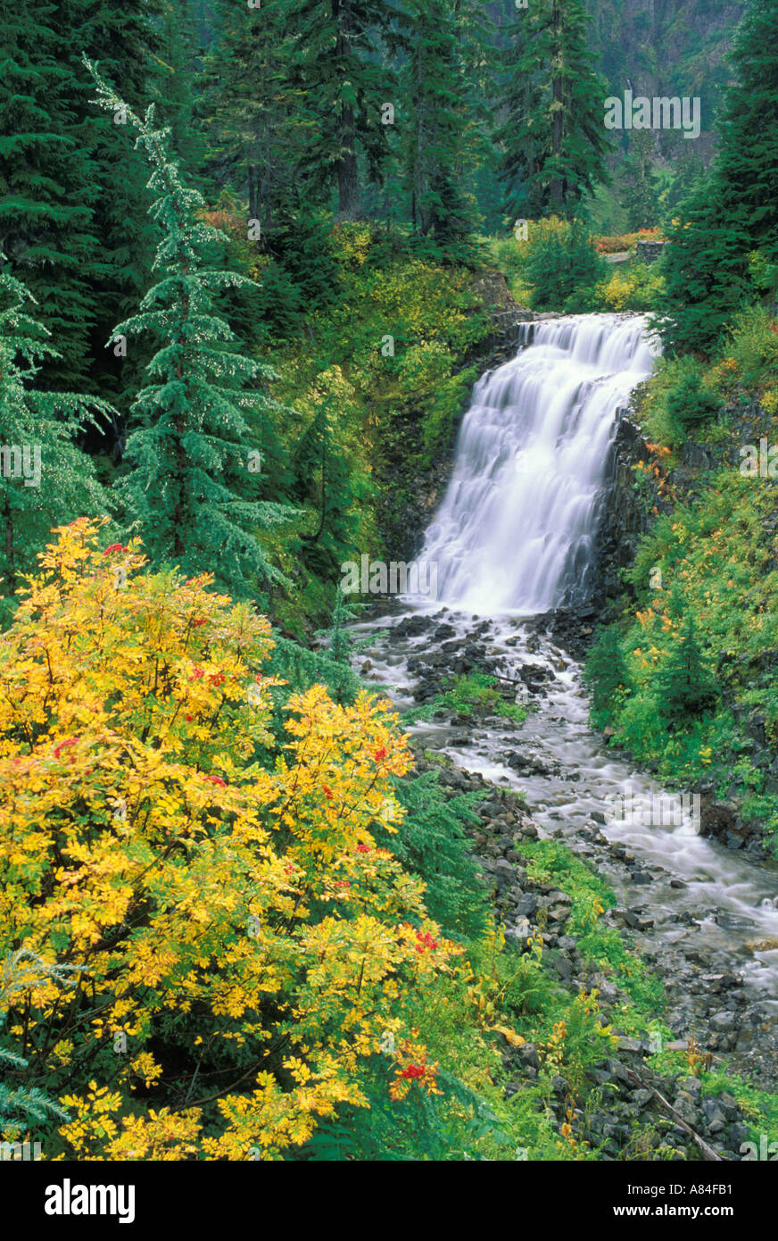 Waterfall and mountain ash bush Mount Baker Highway North Cascades ...