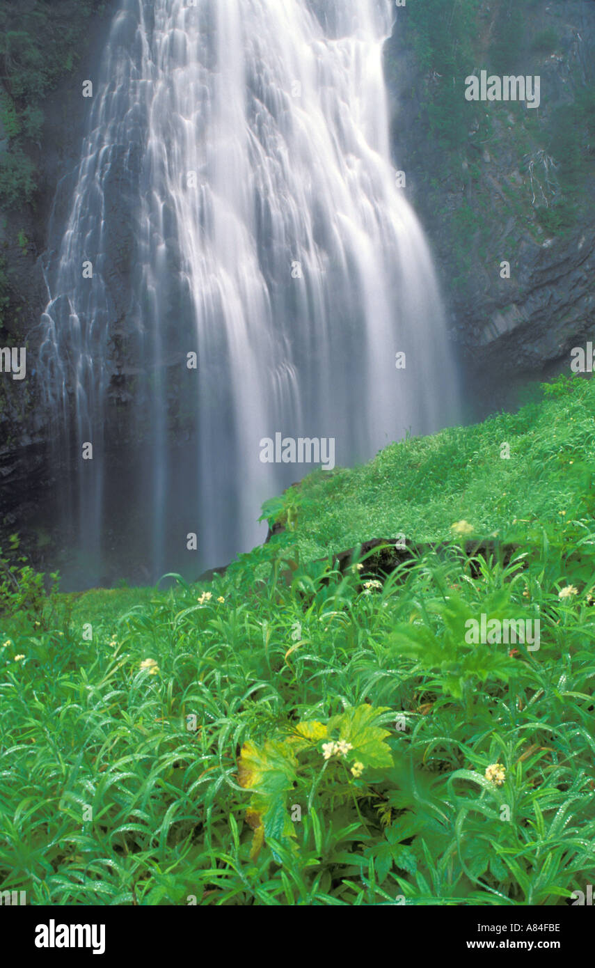 Narada Falls Mount Rainier National Park Washington Stock Photo - Alamy