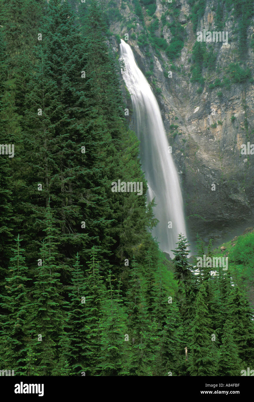 Comet Falls Mount Rainier National Park Washington Stock Photo - Alamy