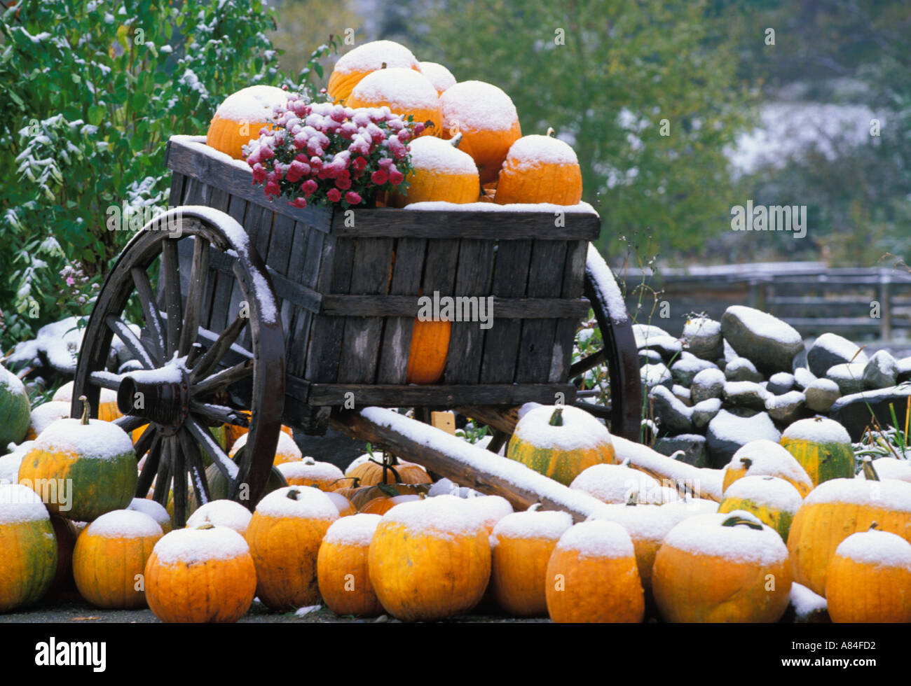 Barton county hi-res stock photography and images - Alamy