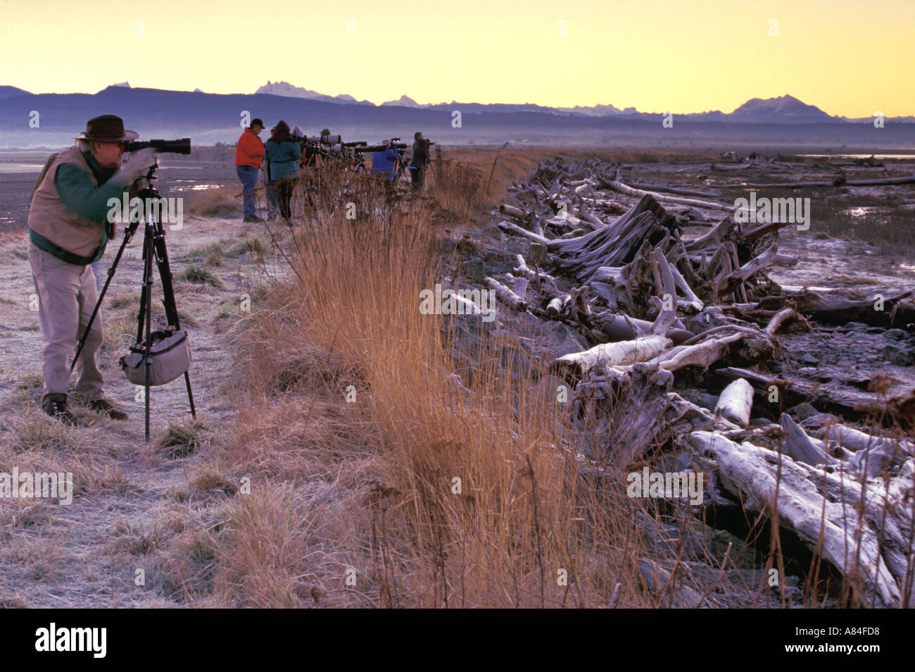 Skagit wildlife area hi-res stock photography and images - Alamy