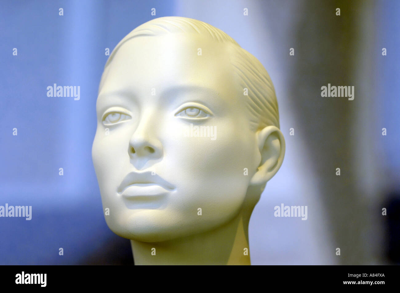 showroom dummy head face female woman white shop window Stock Photo - Alamy