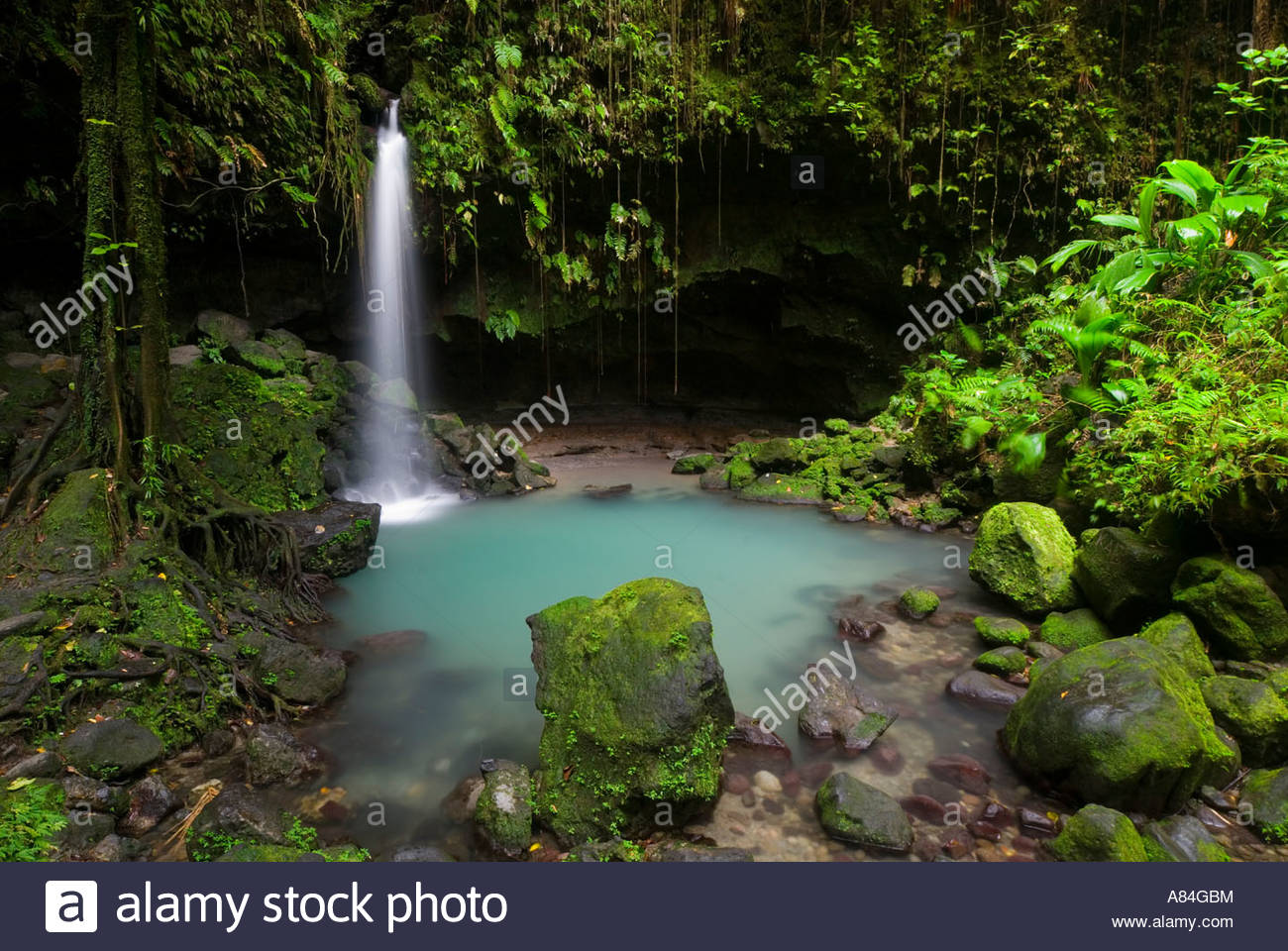 Dominica Waterfall Emerald Pool High Resolution Stock Photography and ...