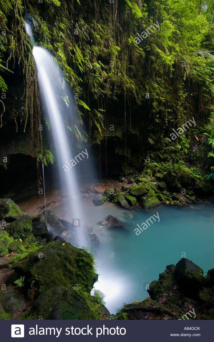 Emerald Pool Waterfall Dominica High Resolution Stock Photography and ...