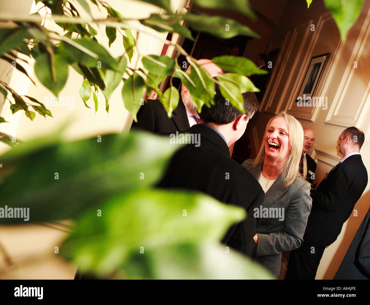 Networking business people at club Stock Photo - Alamy