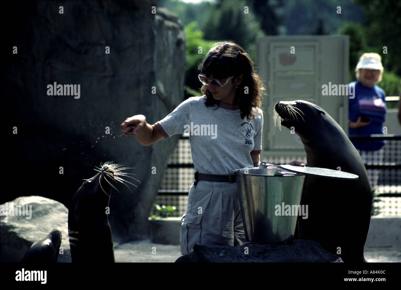 Zoo keeper in uniform hi-res stock photography and images - Alamy