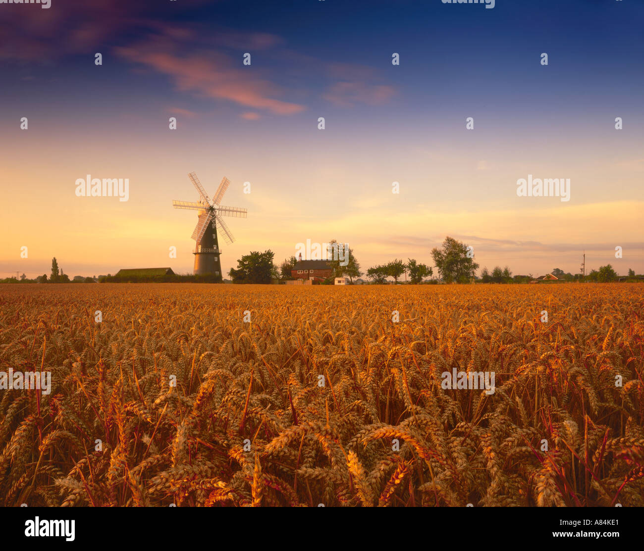 Sibsey Trader Windmill near Boston in Lincolnshire England UK Stock ...