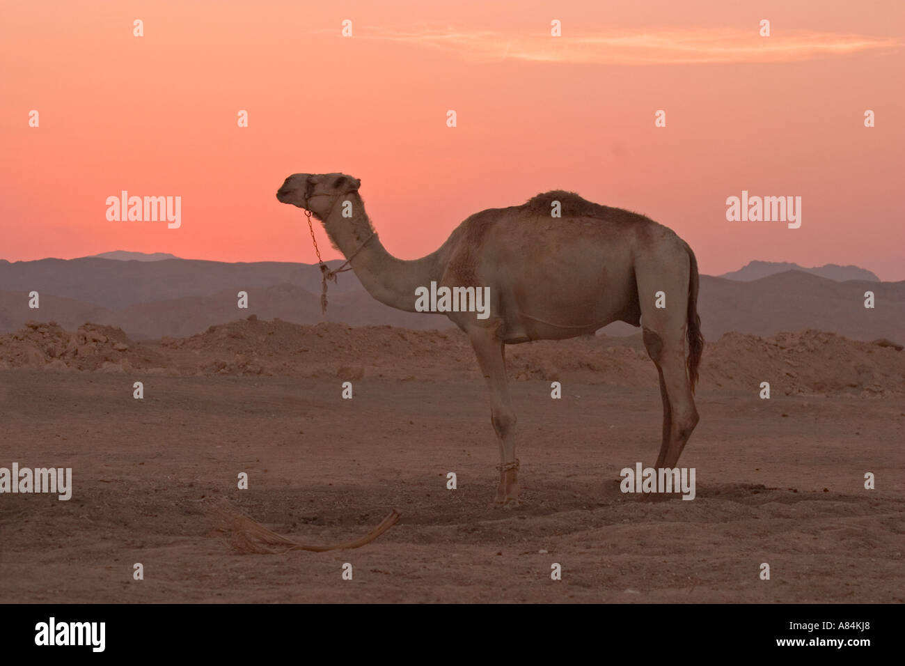 Ship standing in dry hi-res stock photography and images - Alamy