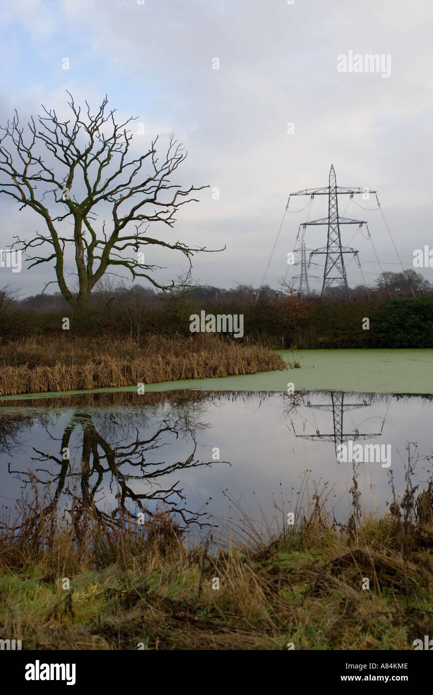 Scummy water hi-res stock photography and images - Alamy