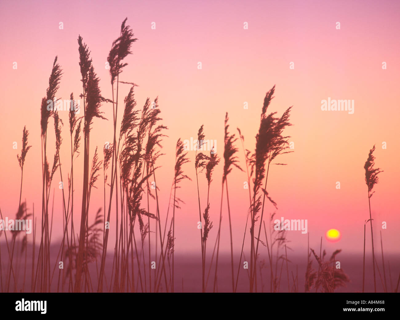 Cambridgeshire landscape hi-res stock photography and images - Alamy