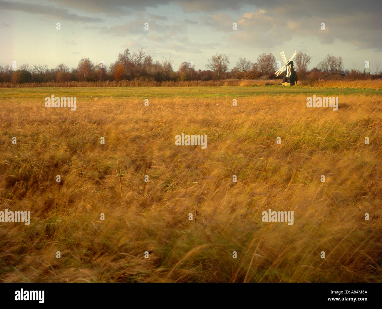 Fen landscapes hi-res stock photography and images - Alamy