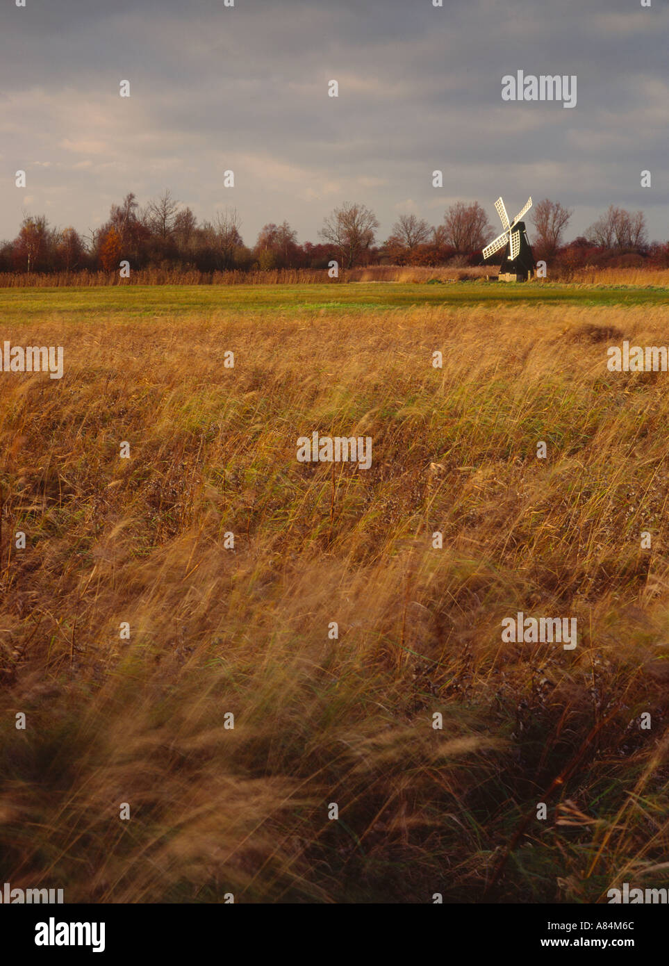 Fen drains hi-res stock photography and images - Alamy