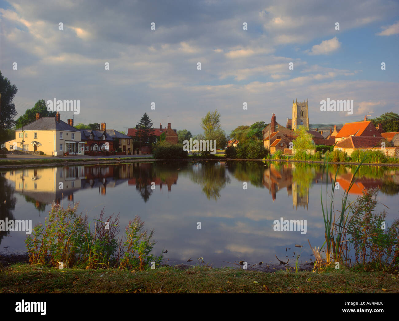 The village pond at Great Massingham Norfolk England UK Stock Photo - Alamy