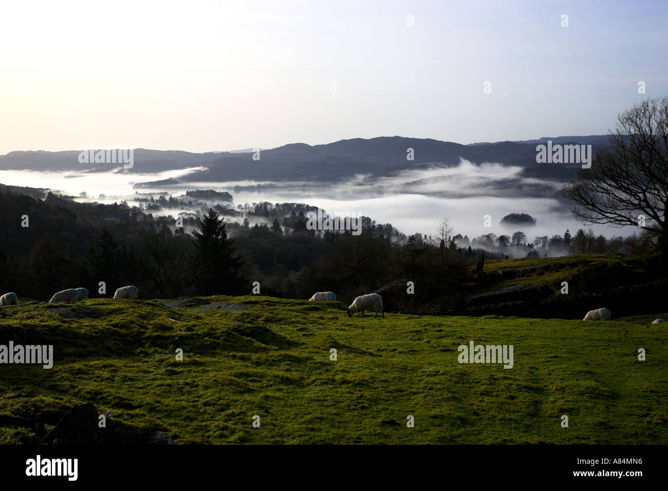 Views Around Bowness-on- Windermere Cumbria UK These photos taken from ...
