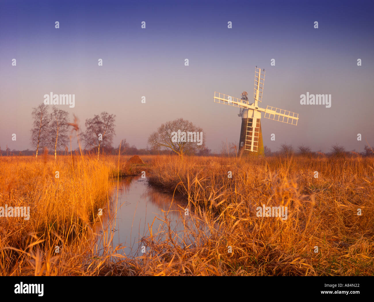 How Hill windmill and nature reserve in Norfolk Broads England UK Stock ...