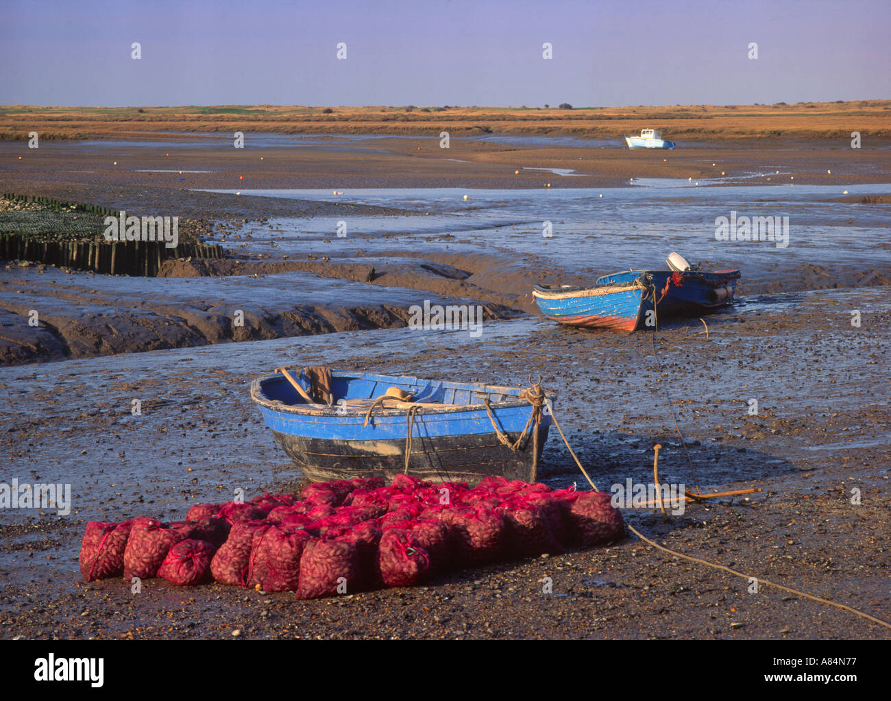 Fishing boats and fresh mussels on mudflats at Brancaster Staithe ...