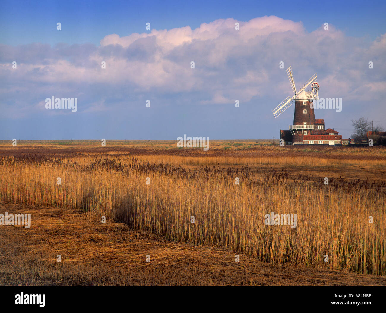 Cley mill wind mill windmill cley norfolk north norfolk hi-res stock ...