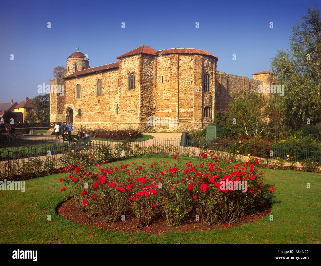 Colchester Castle and gardens in Essex England UK Stock Photo - Alamy