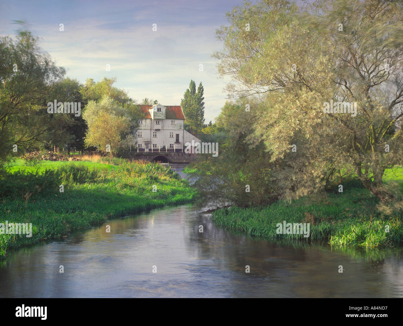 Elsing hi-res stock photography and images - Alamy