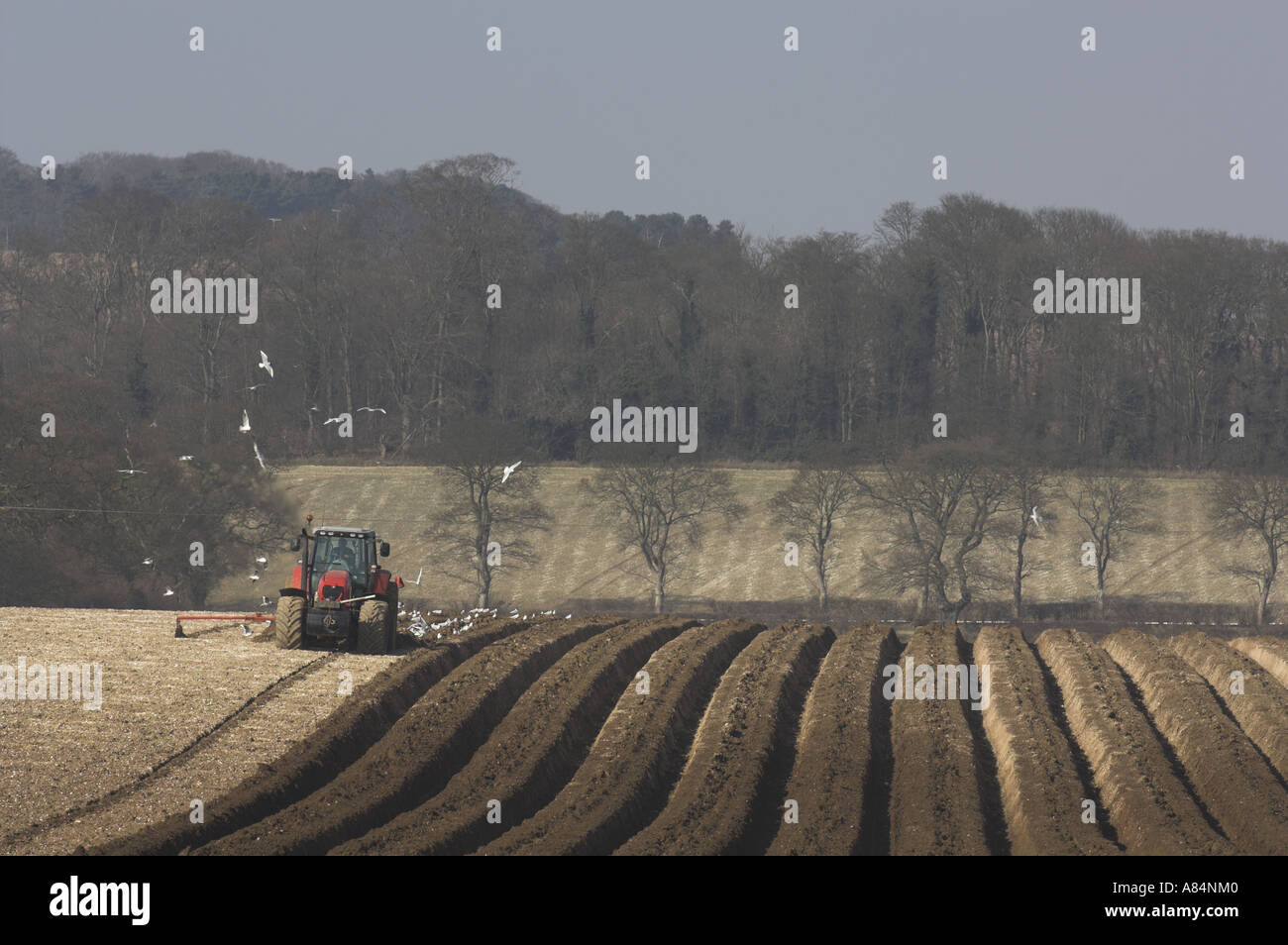 Ridging hi-res stock photography and images - Alamy
