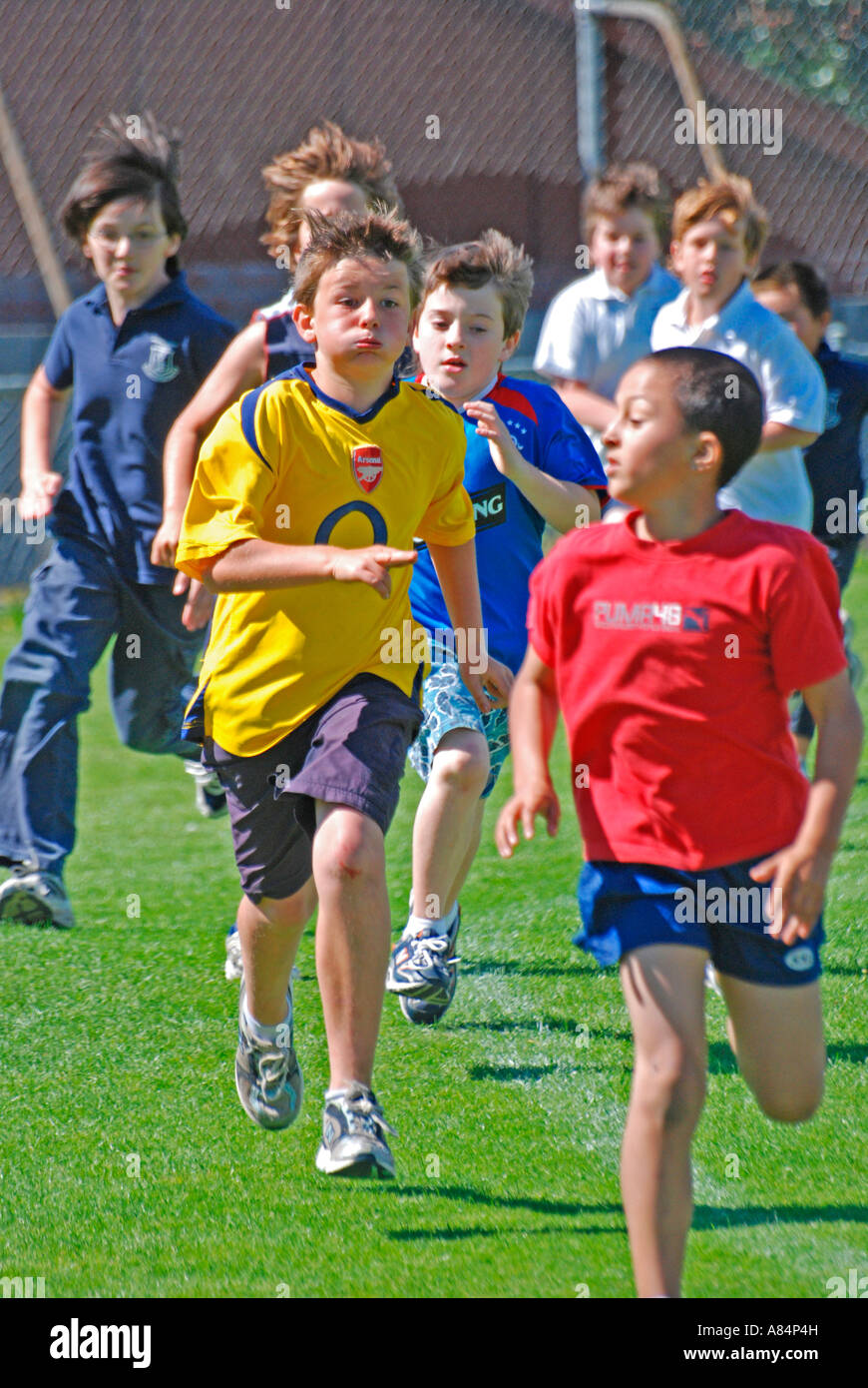 Children competing in primary school atheletics Hobart Tasmania Stock ...