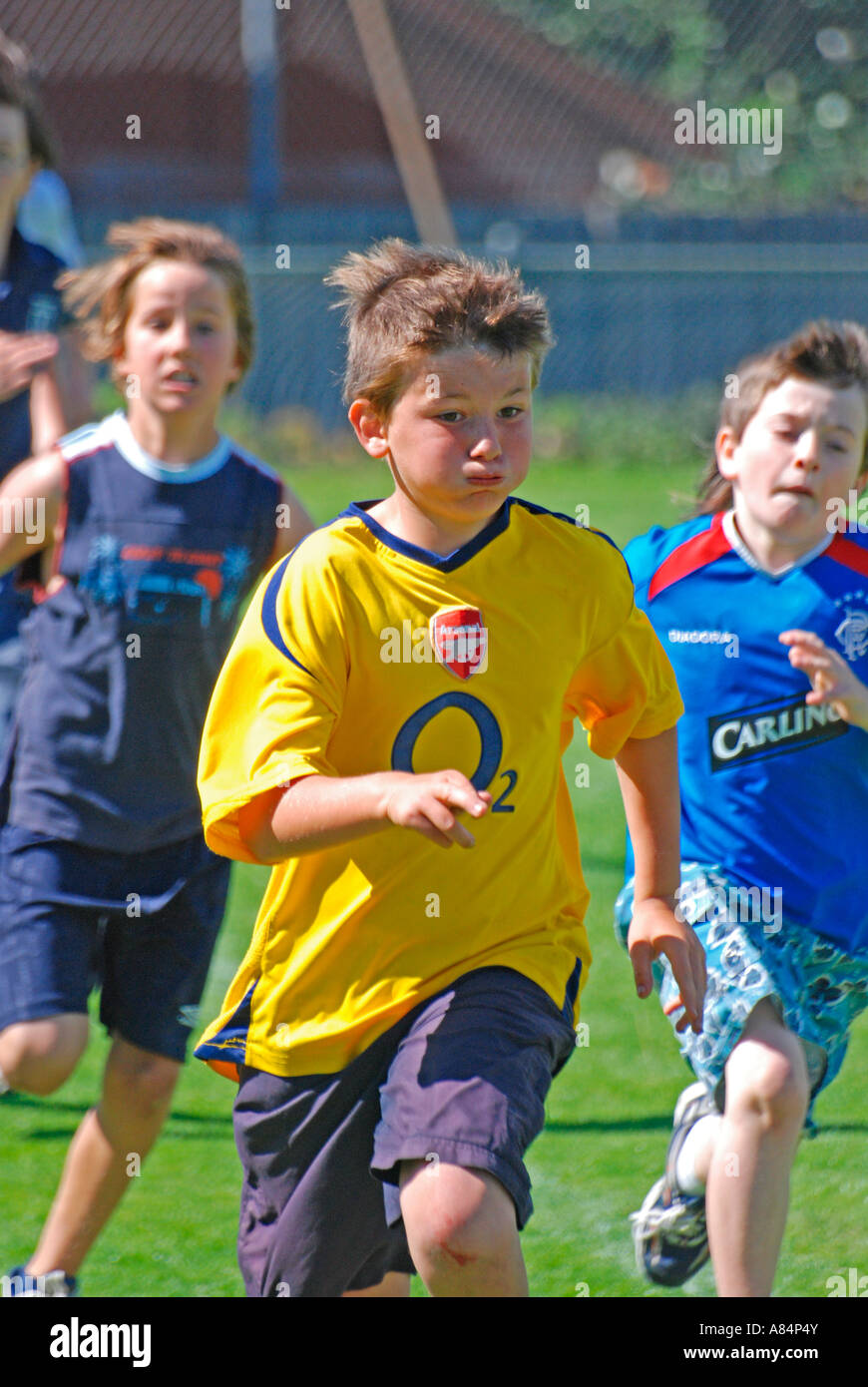 Children competing in primary school atheletics Hobart Tasmania Stock ...