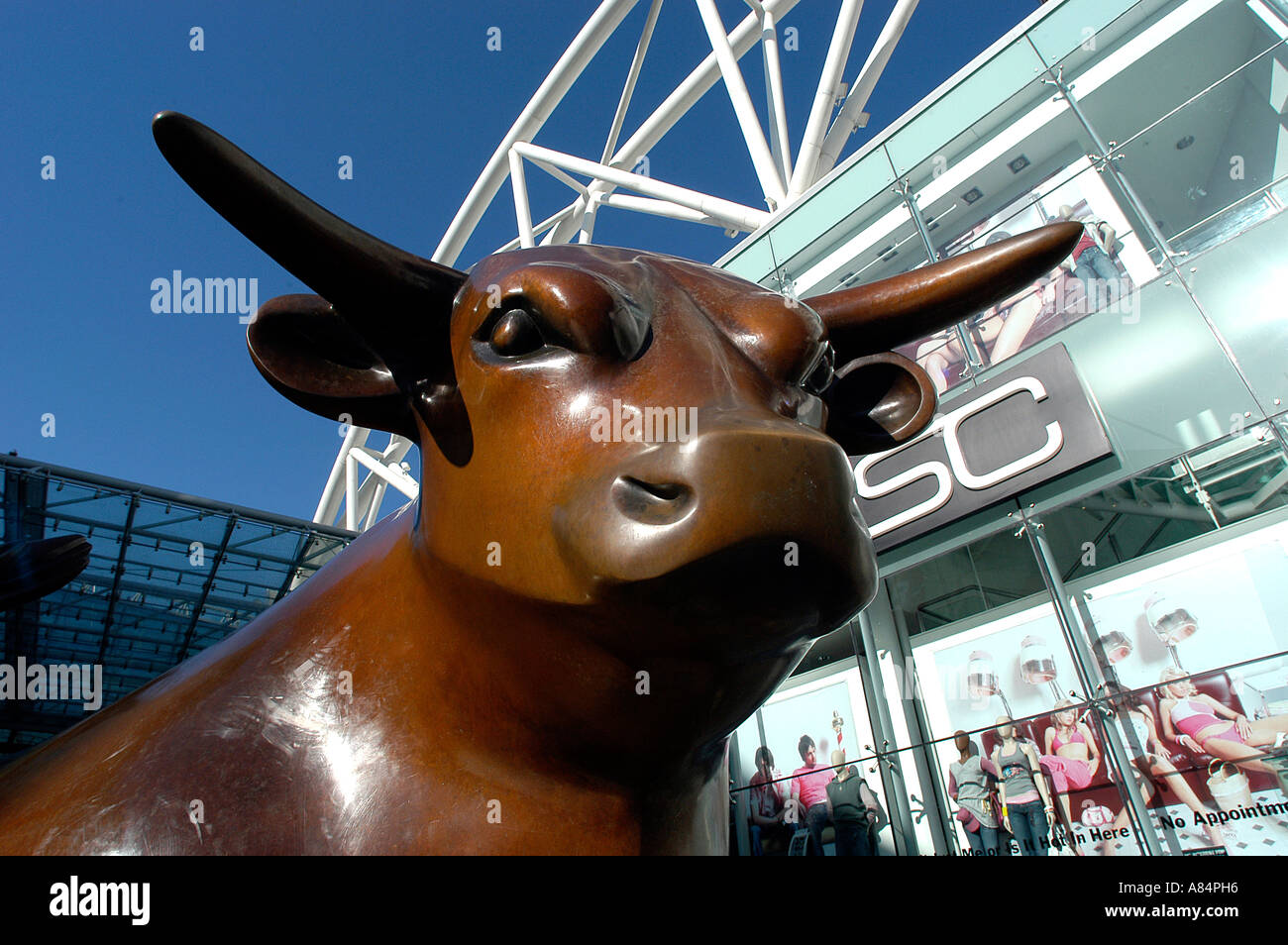 The Bullring Bull Birmingham UK Bullring Shopping Centre Stock Photo ...