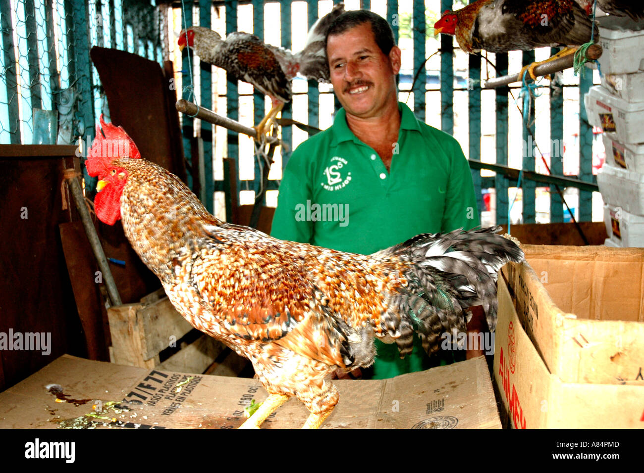 In a Ciudad Bolivar market, Venezuela, a stallkeeper proudly displays a ...