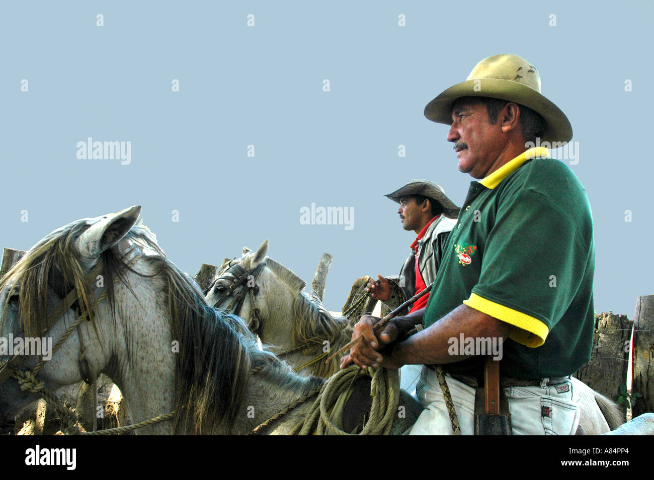 Great plains wildlife hi-res stock photography and images - Alamy