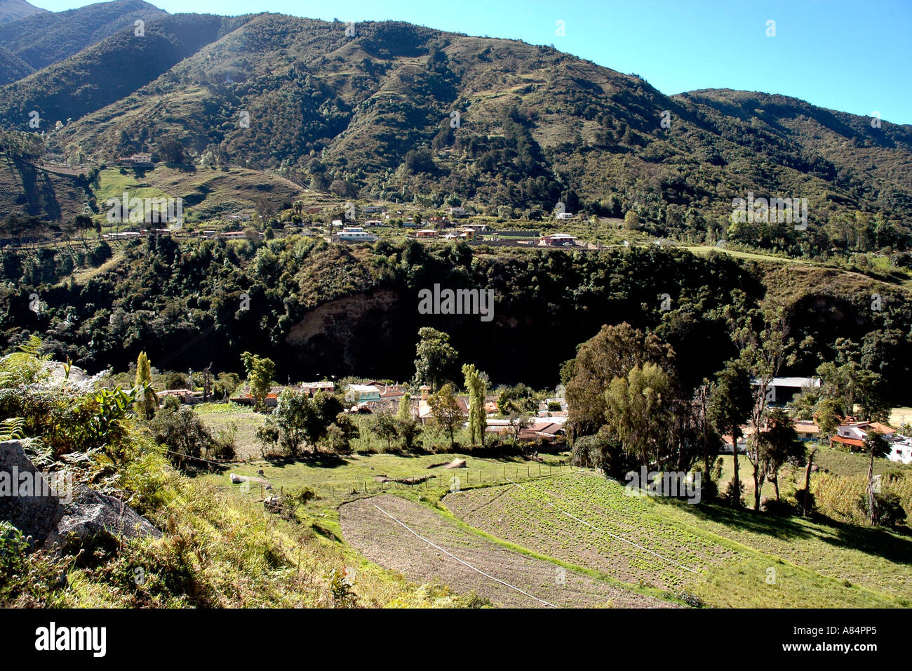 Productive farm fields in the foothills of the Andes in Venezuela Stock ...
