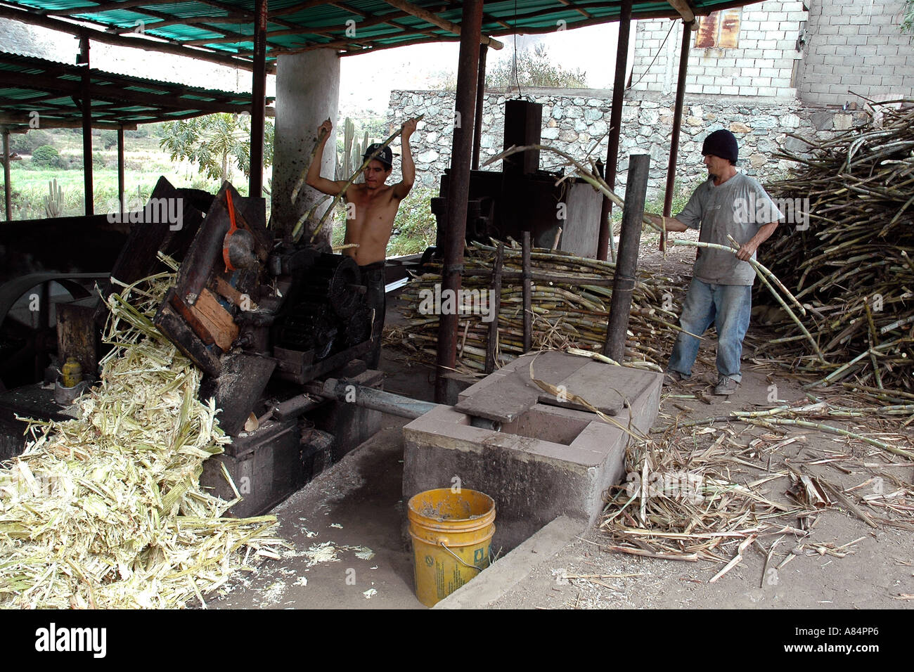 Sugar cane juice and juice hi-res stock photography and images - Alamy