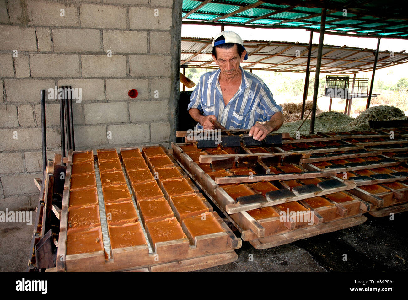 Sugar cane juice and juice hi-res stock photography and images - Alamy