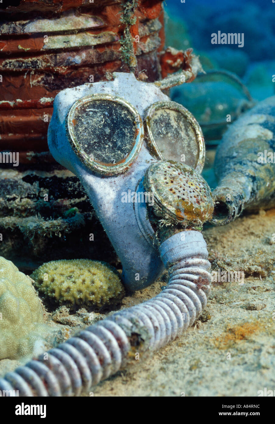 Gas mask on sunken ship Truk Lagoon Federated States of Micronesia ...