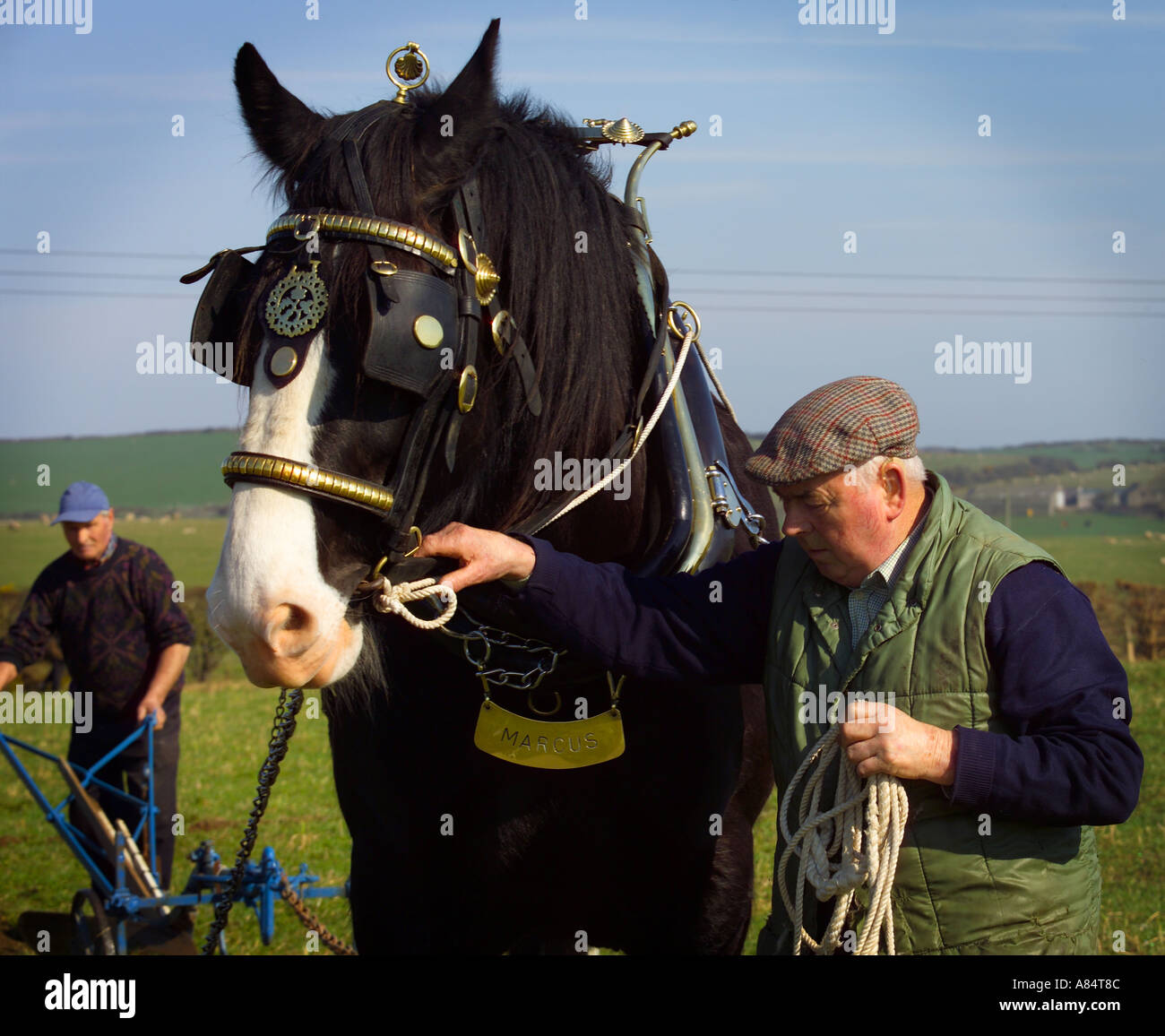 Horse Drawn Ploughing Competition Rhosgoch Anglesey North West Wales ...