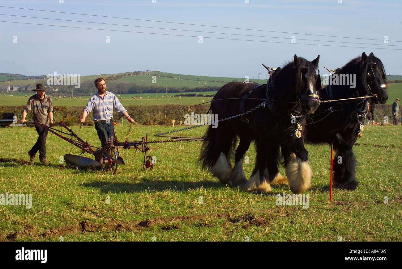 Horse Drawn Ploughing Competition Rhosgoch Anglesey North West Wales ...
