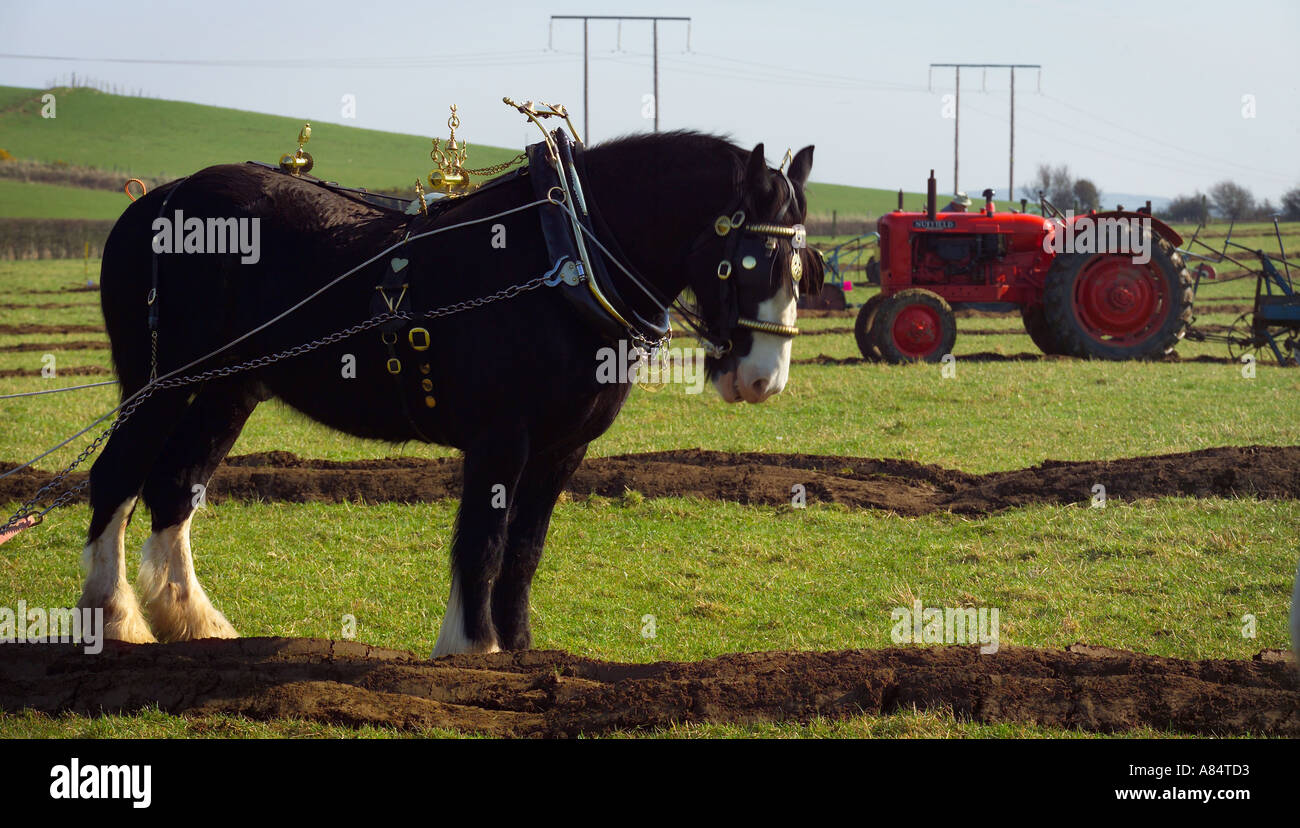 Horse Drawn Ploughing Competition Rhosgoch Anglesey North West Wales ...