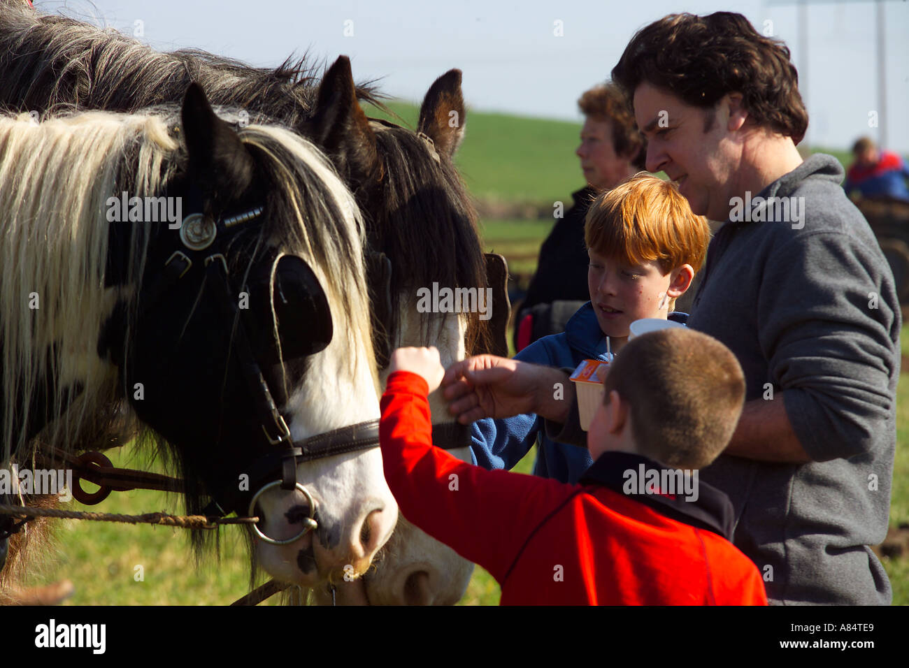 Rhosgoch High Resolution Stock Photography and Images - Alamy
