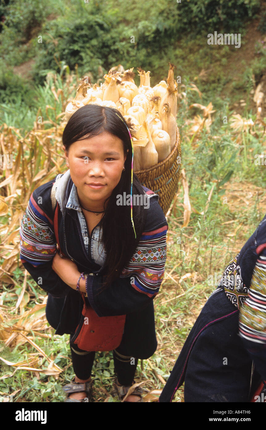 Hmong girl carrying basket with corn in Sapa Vietnam Stock Photo - Alamy