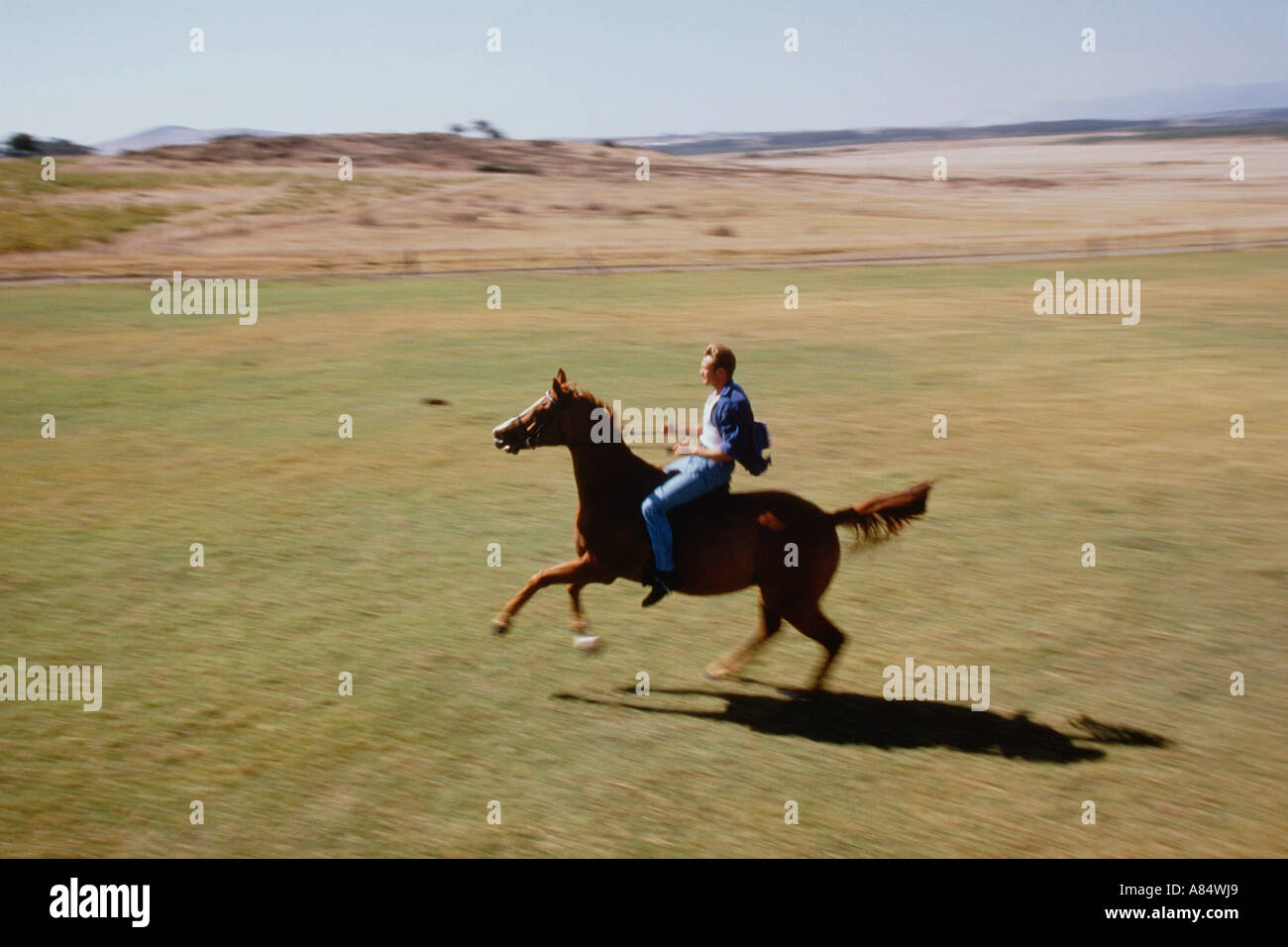 Young man riding horse Stock Photo - Alamy Young man riding horse Stock Photo - Alamy