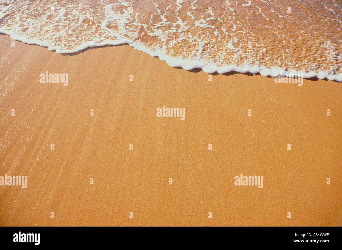 Close up of sea water's edge on sandy beach Stock Photo - Alamy