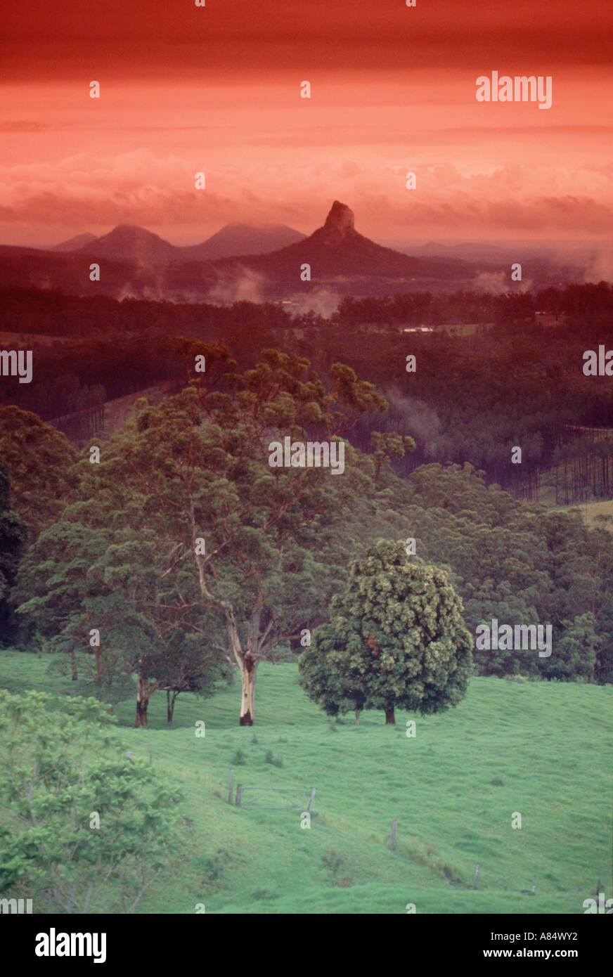 Unnatural environment hi-res stock photography and images - Alamy