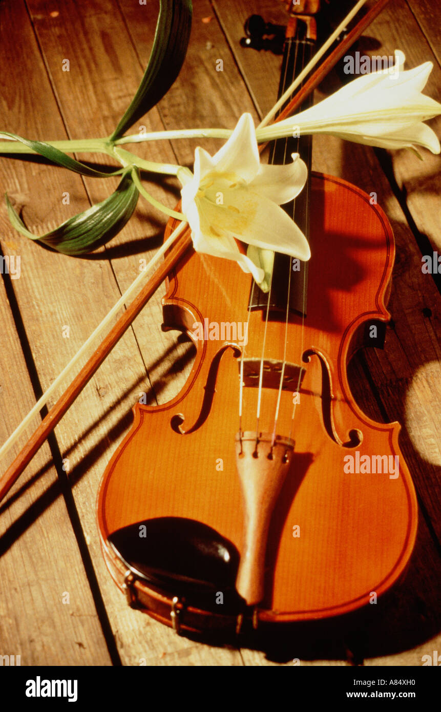 Still life. Musical instrument. Violin Stock Photo - Alamy