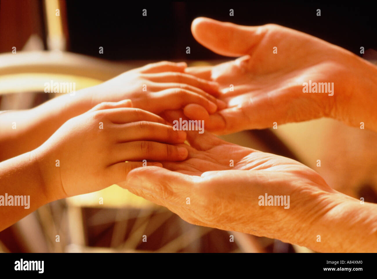 Close-up of old and young hands touching Stock Photo - Alamy
