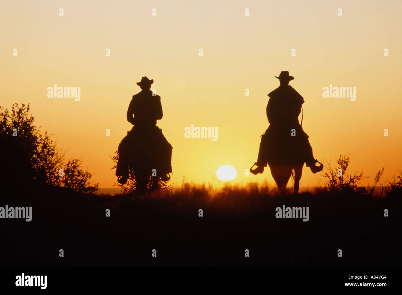 Two men riding horse hi-res stock photography and images - Alamy